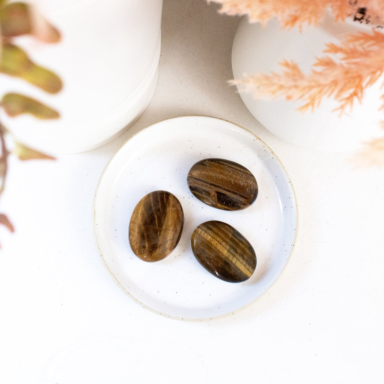 Gold Tigerseye - Mini Palm Stone | Muse + Moonstone Crystals