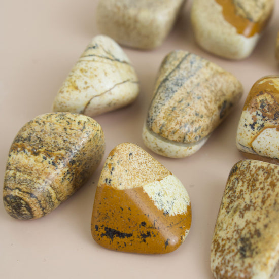 Picture Jasper - Tumbled Stone | Muse + Moonstone Crystals