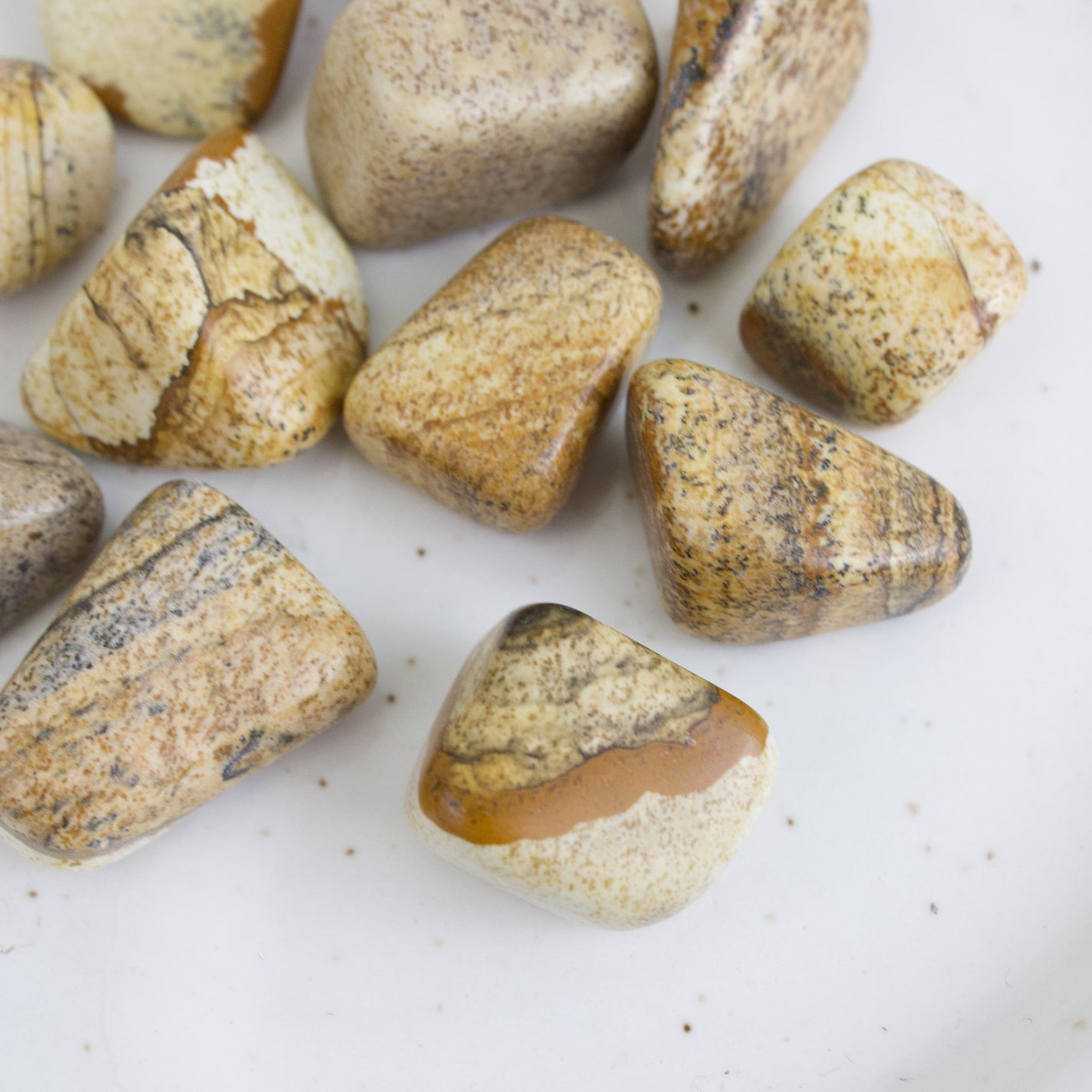 Picture Jasper - Tumbled Stone | Muse + Moonstone Crystals