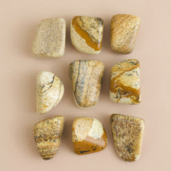 Picture Jasper - Tumbled Stone | Muse + Moonstone Crystals
